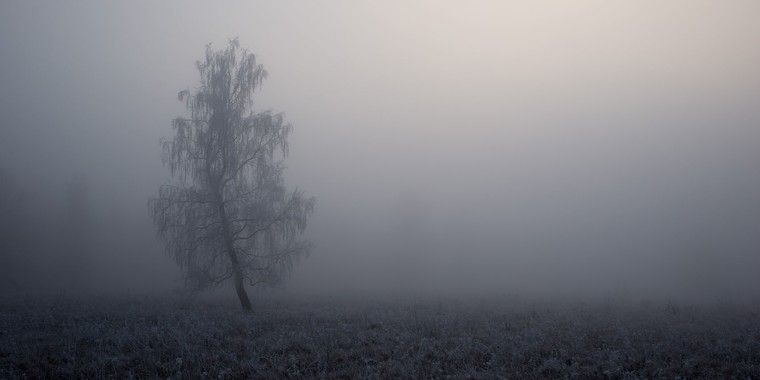 Join the Picture Haze Photo Contest and win Carbon Fiber Mini Tripod ...